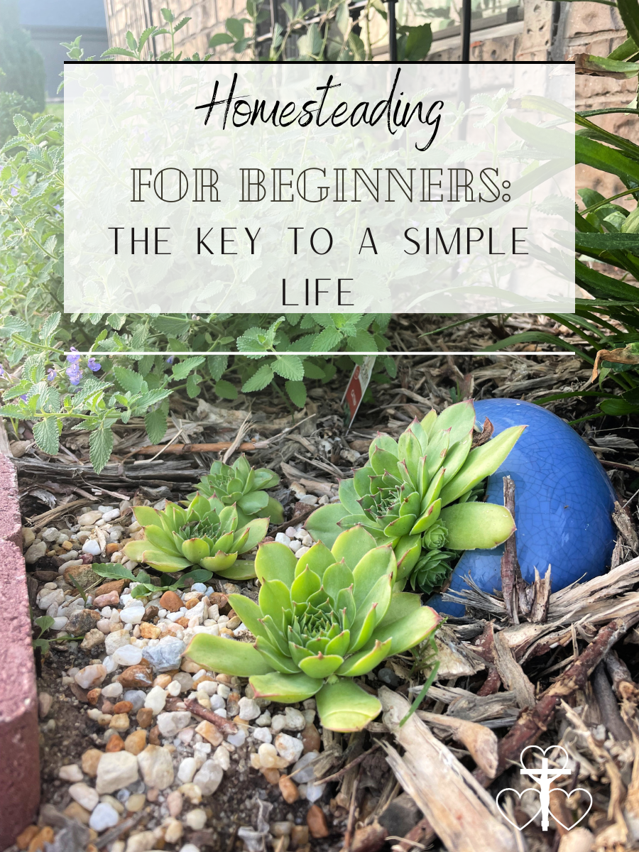 Homesteading For Beginners: The Key to a Simple Life