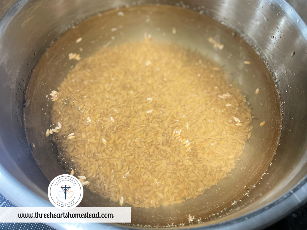 Easy From Scratch Oxtail Soup with Soaked Einkorn Wheat Berries