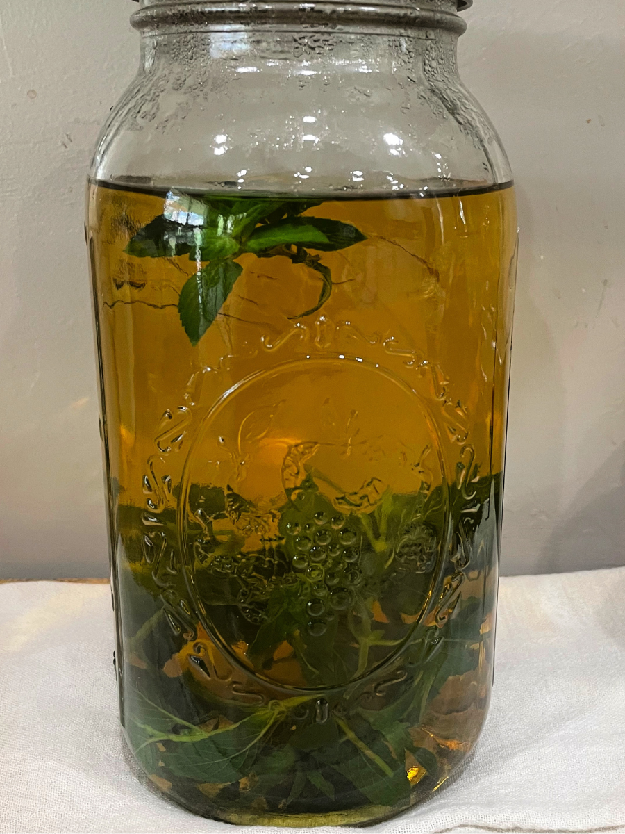 The Perfect, Easy Peppermint Tea - Three Hearts' Homestead